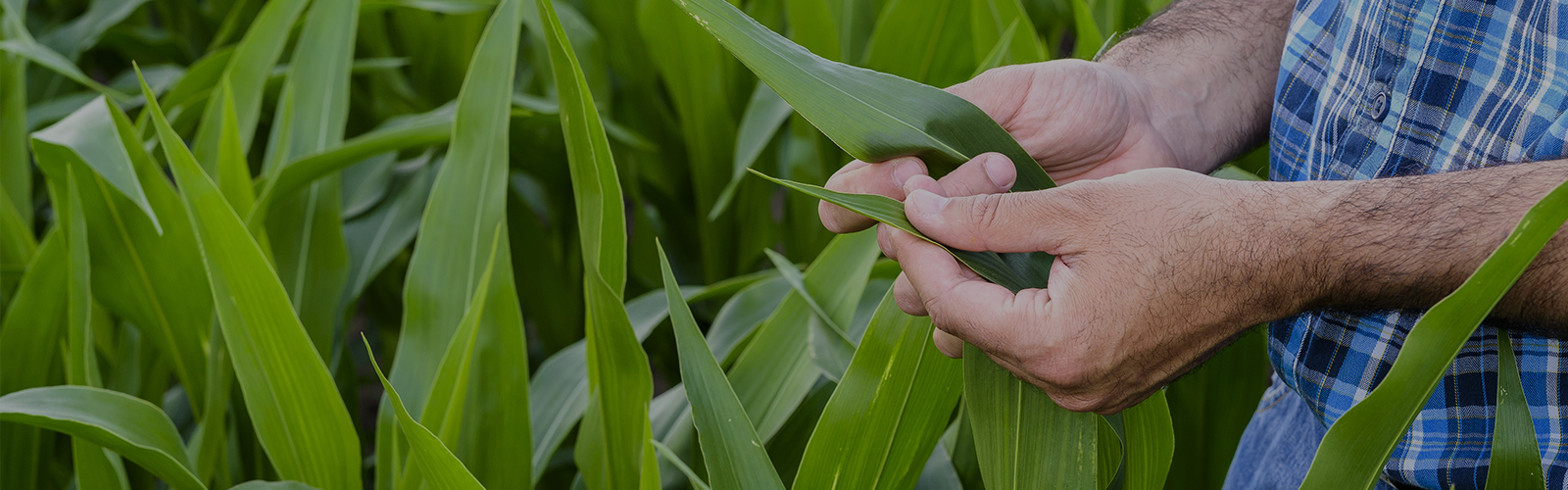 Farmers Business Network